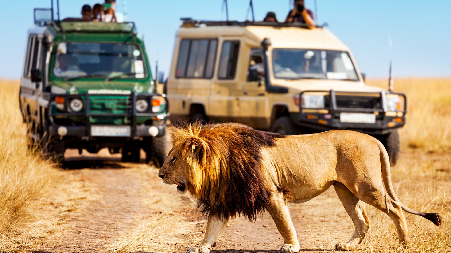Safari Express - Kenia | ITAKA