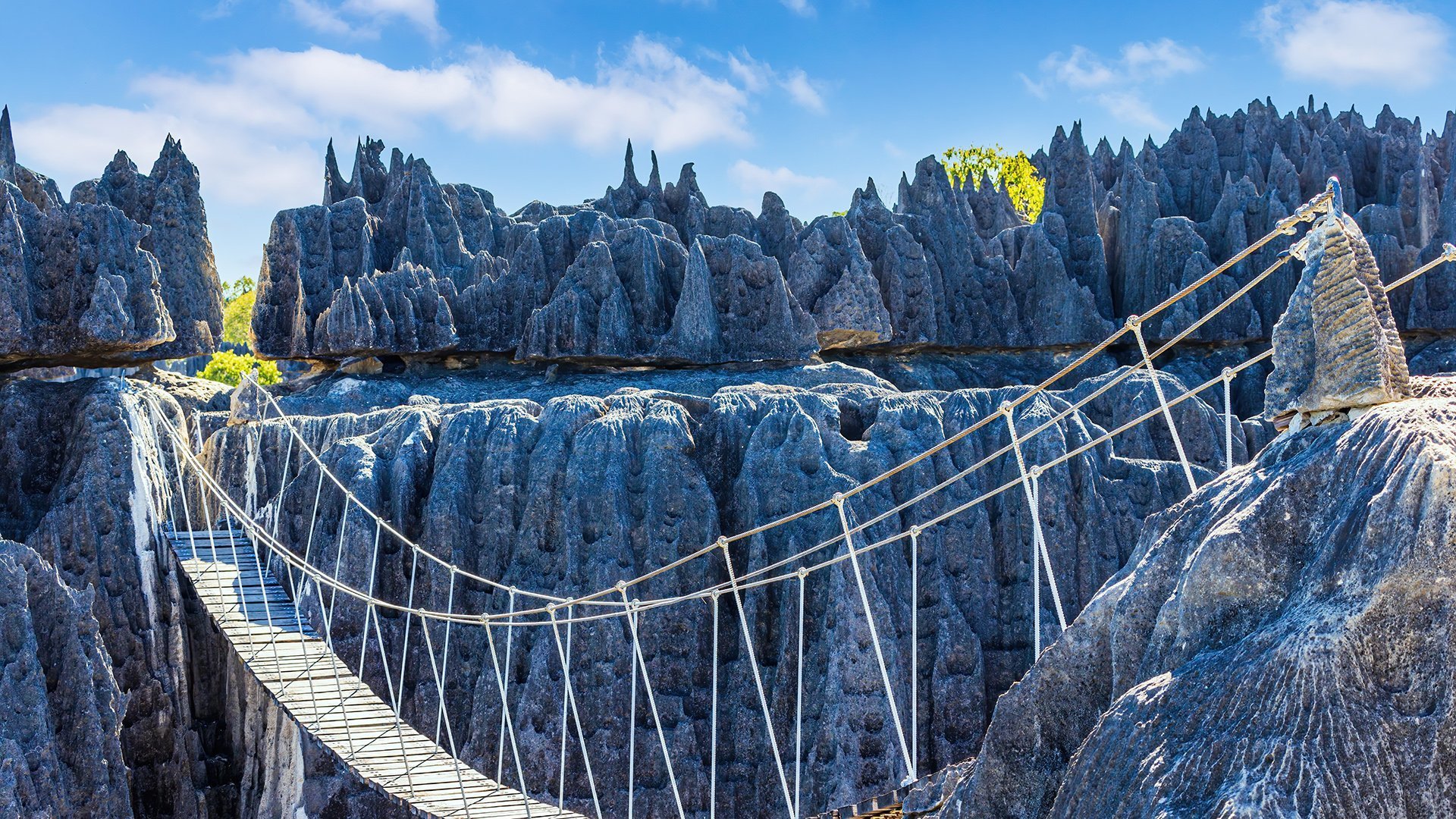 W krainie lemurów i baobabów - Madagaskar - Wycieczki, Opinie | ITAKA