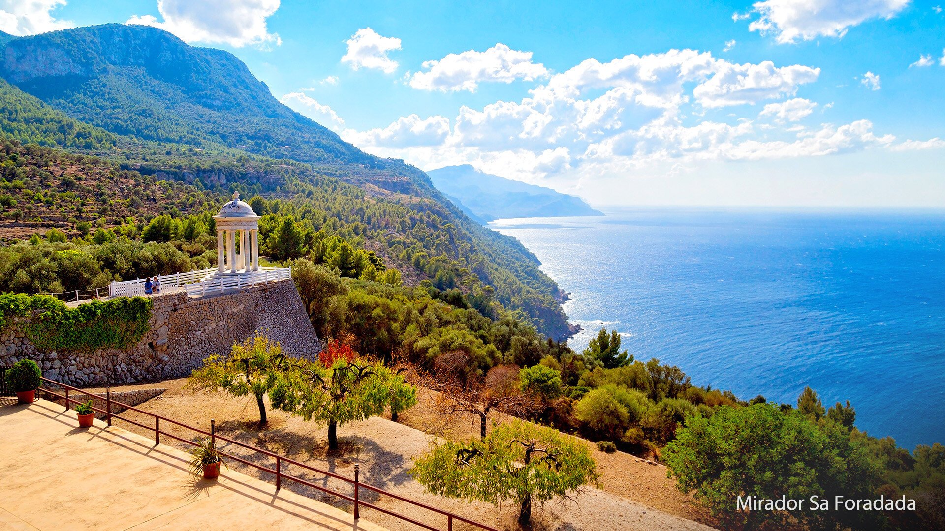 Majorka pod palmą - Majorka, Hiszpania - Wycieczki, Opinie | ITAKA