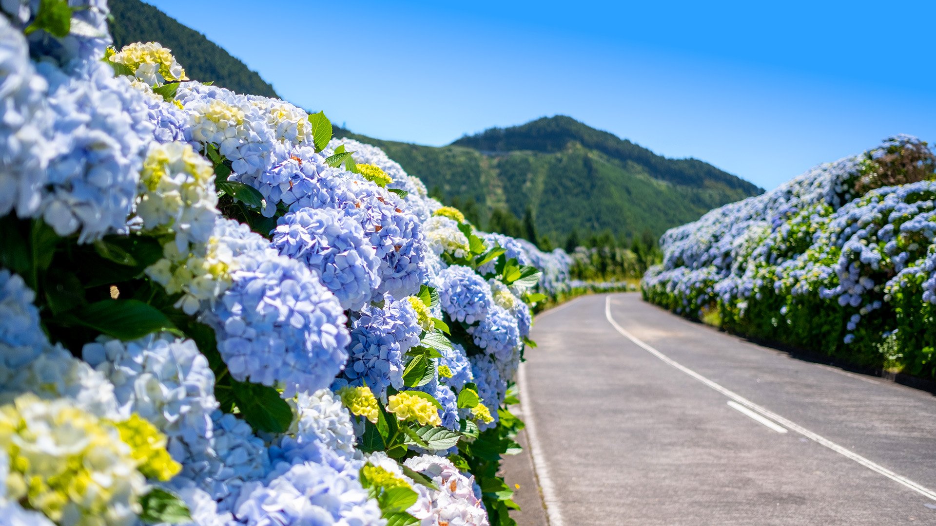 Wczasy i wycieczki Azory - wakacje 2023 | Biuro Podróży ITAKA